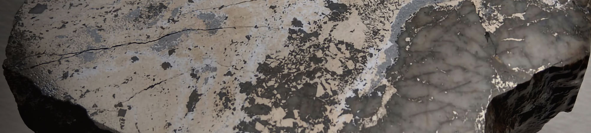 Management – Goliath Resources Limited TSX-V: GOT